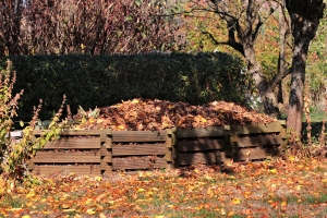 Beginner’s Guide to Composting | Geranium Blog