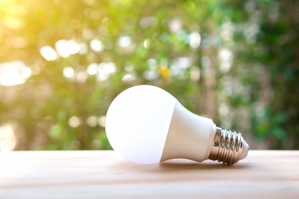 Sustainable Living Starts At Home | Geranium Blog